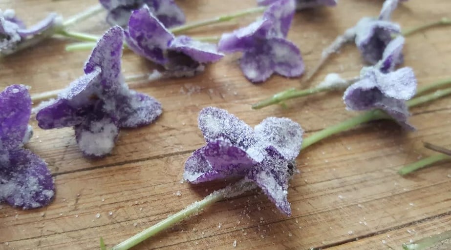 Spring Floral Arrangements - Happy Happy Nester